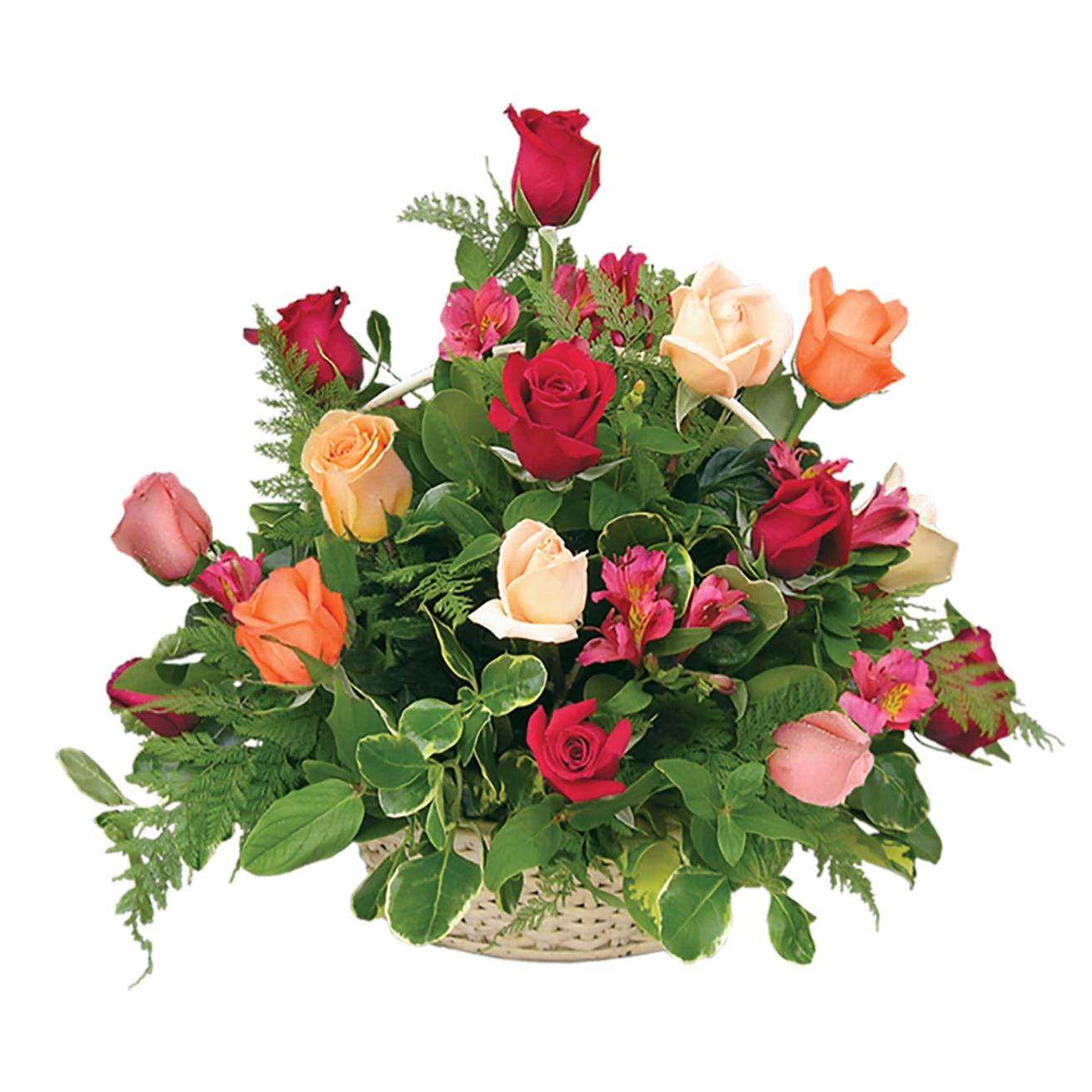 Floreria Magic Garden