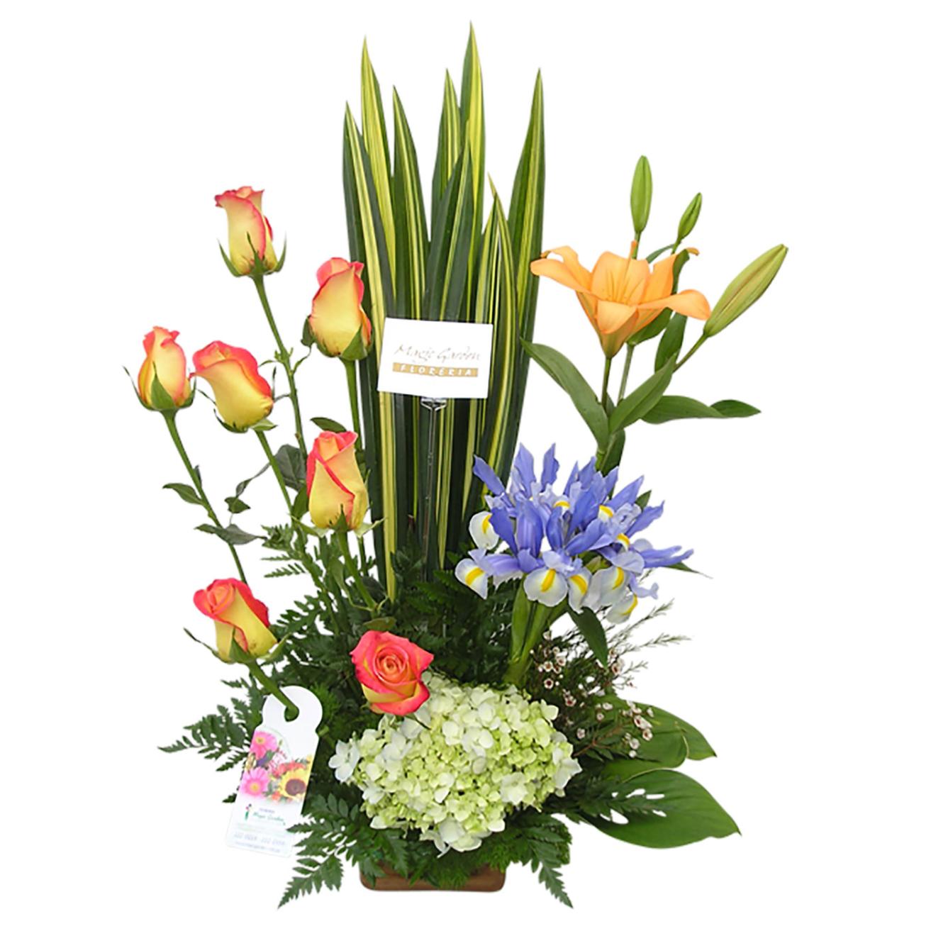 Floreria Magic Garden